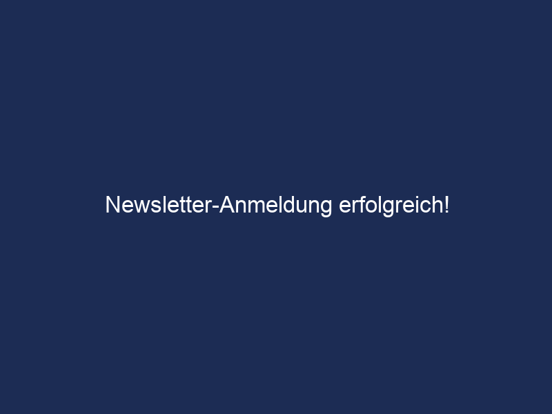 Newsletter-Anmeldung erfolgreich! – Minus Sinus – Wertorientiertes ...